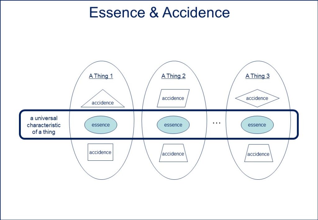 What is essence? (1) | DERUKUI COMPANY
